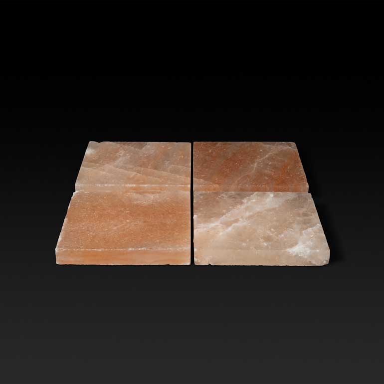 DRY AGER® Accessories: Saltair® Saltblocks – White's Foodservice Equipment